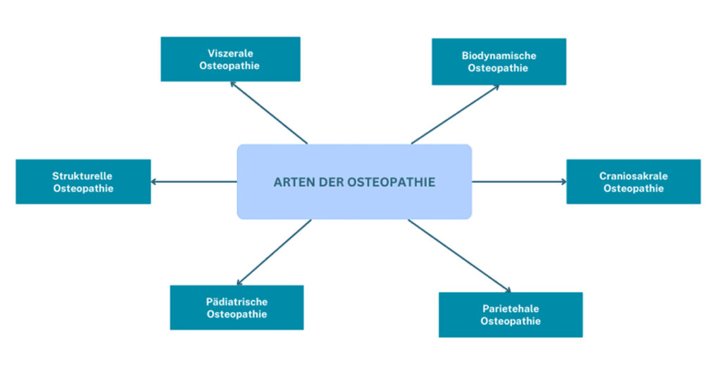 Osteopathie: Wer zahlt? Leistungen der Krankenkassen